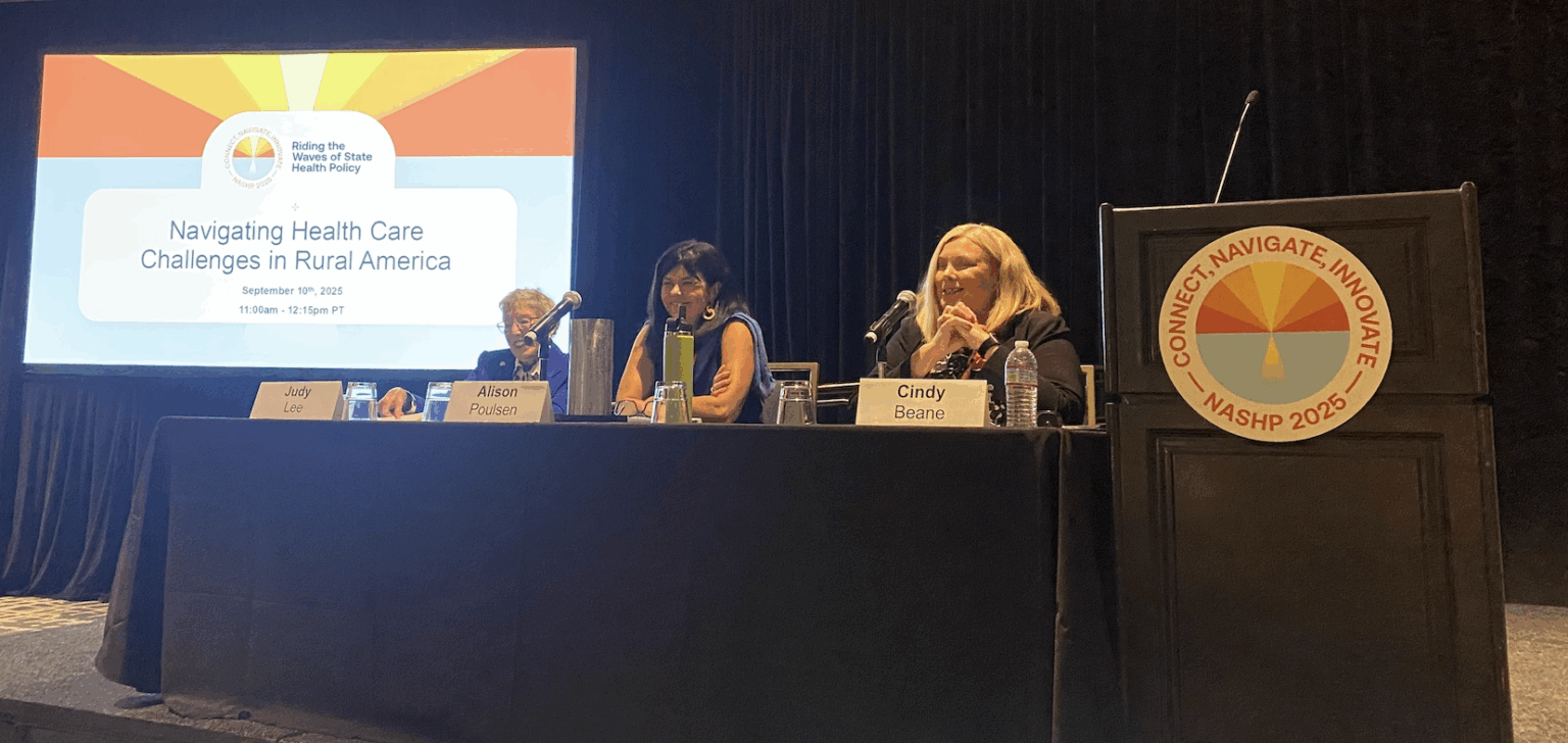 State Strategies for Strengthening Rural Health: Insights from NASHP’s ...